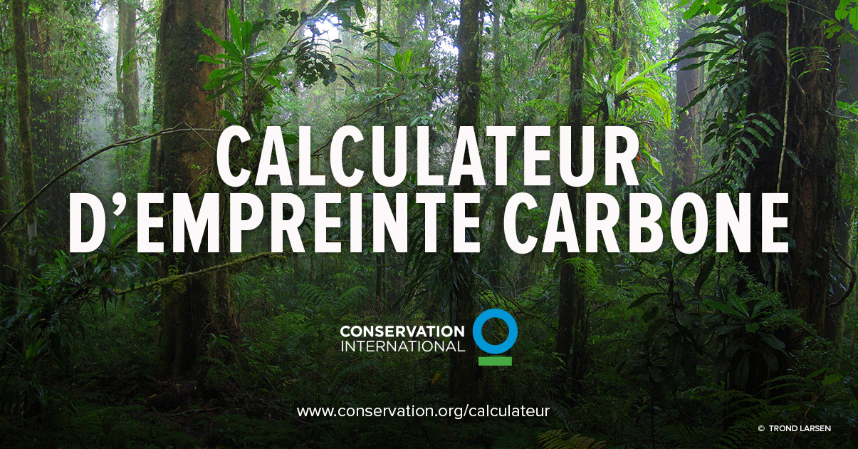 Quelle est votre empreinte carbone